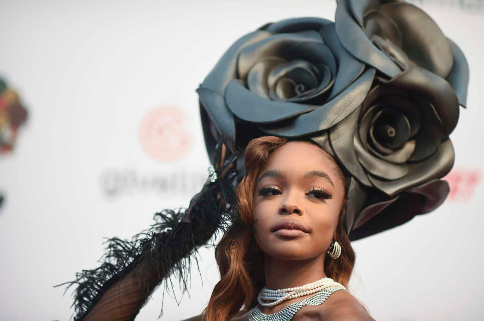 Pictures from the 5th Annual Wearable Art Gala